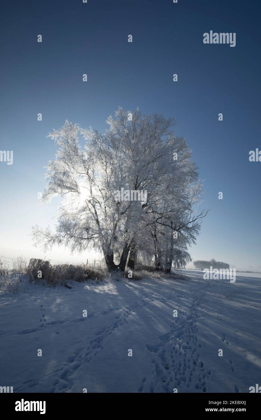Bright spot in a snowy landscape Stock Photo - Alamy