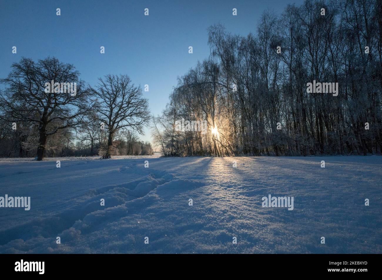 Bright spot hi-res stock photography and images - Alamy