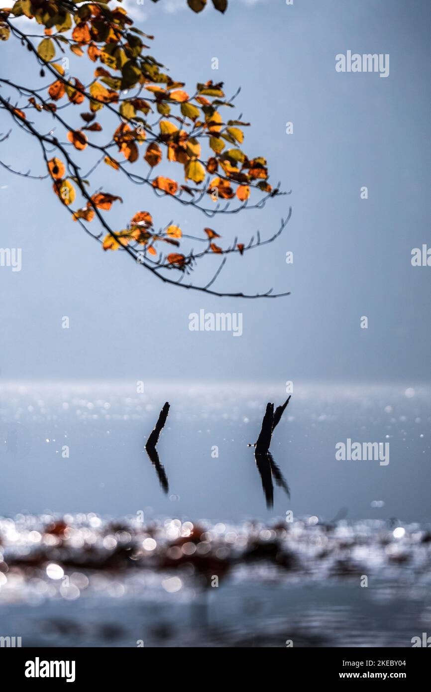 Autumn water reflection Stock Photo - Alamy