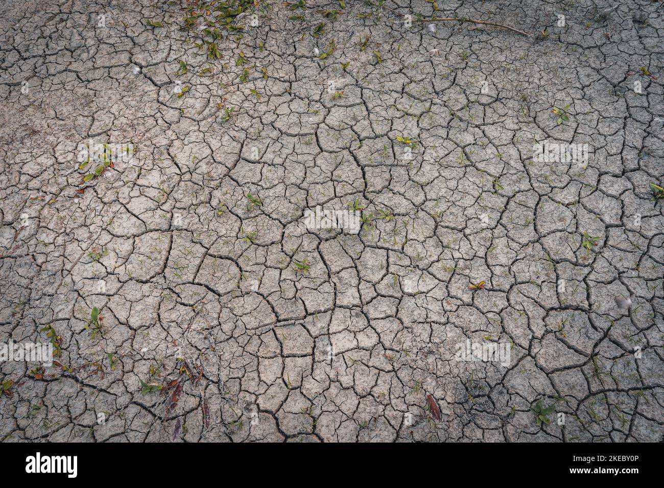 Drying up lake in Bavaria Germany from extreme weather and summer ...