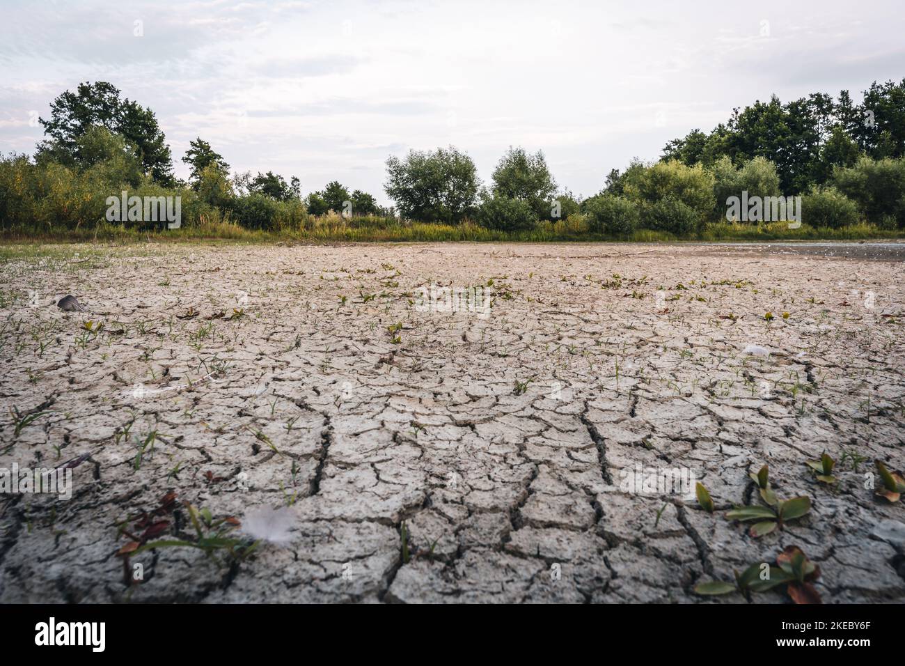 Drying up lake in Bavaria Germany from extreme weather and summer ...