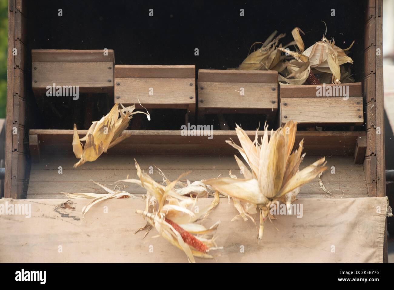 Shelled corn hi-res stock photography and images - Alamy