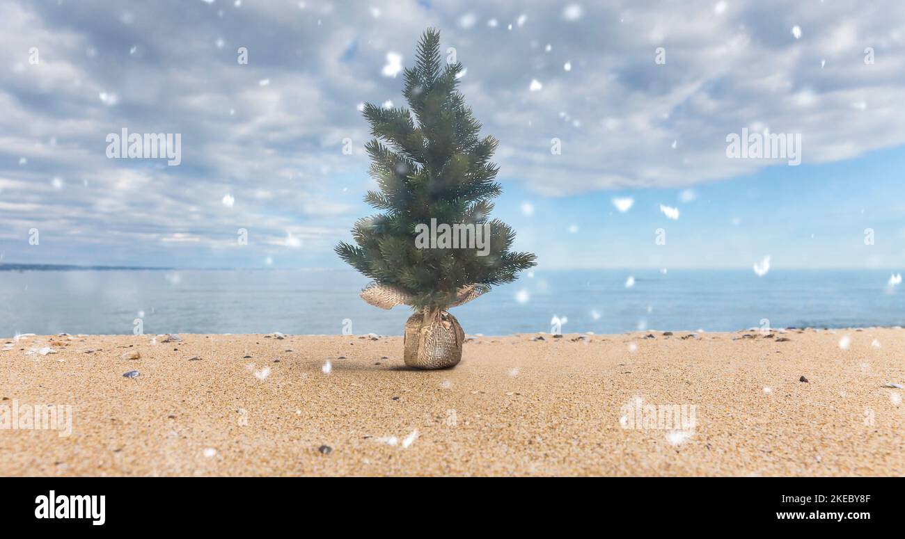 Seaside christmas tree hi-res stock photography and images - Alamy