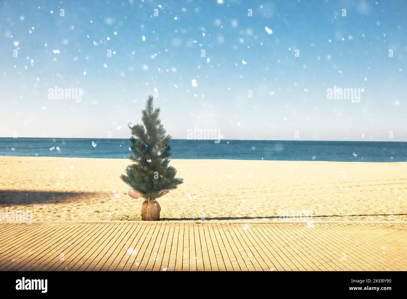 Sea snowflakes hi-res stock photography and images - Alamy
