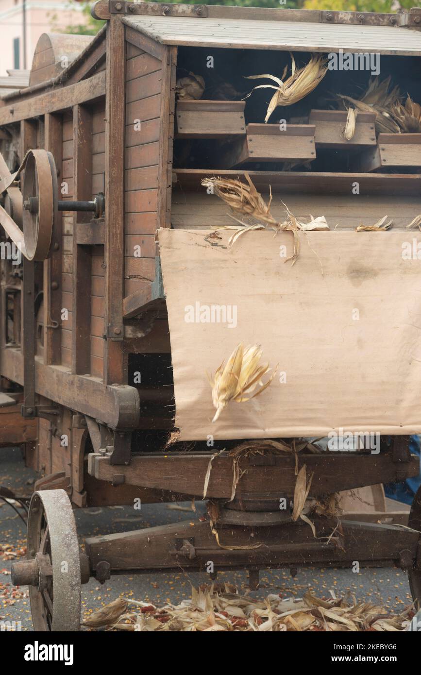 Italy, Lombardy, Historical Reenactment Farmer, Old Corn Shucking ...
