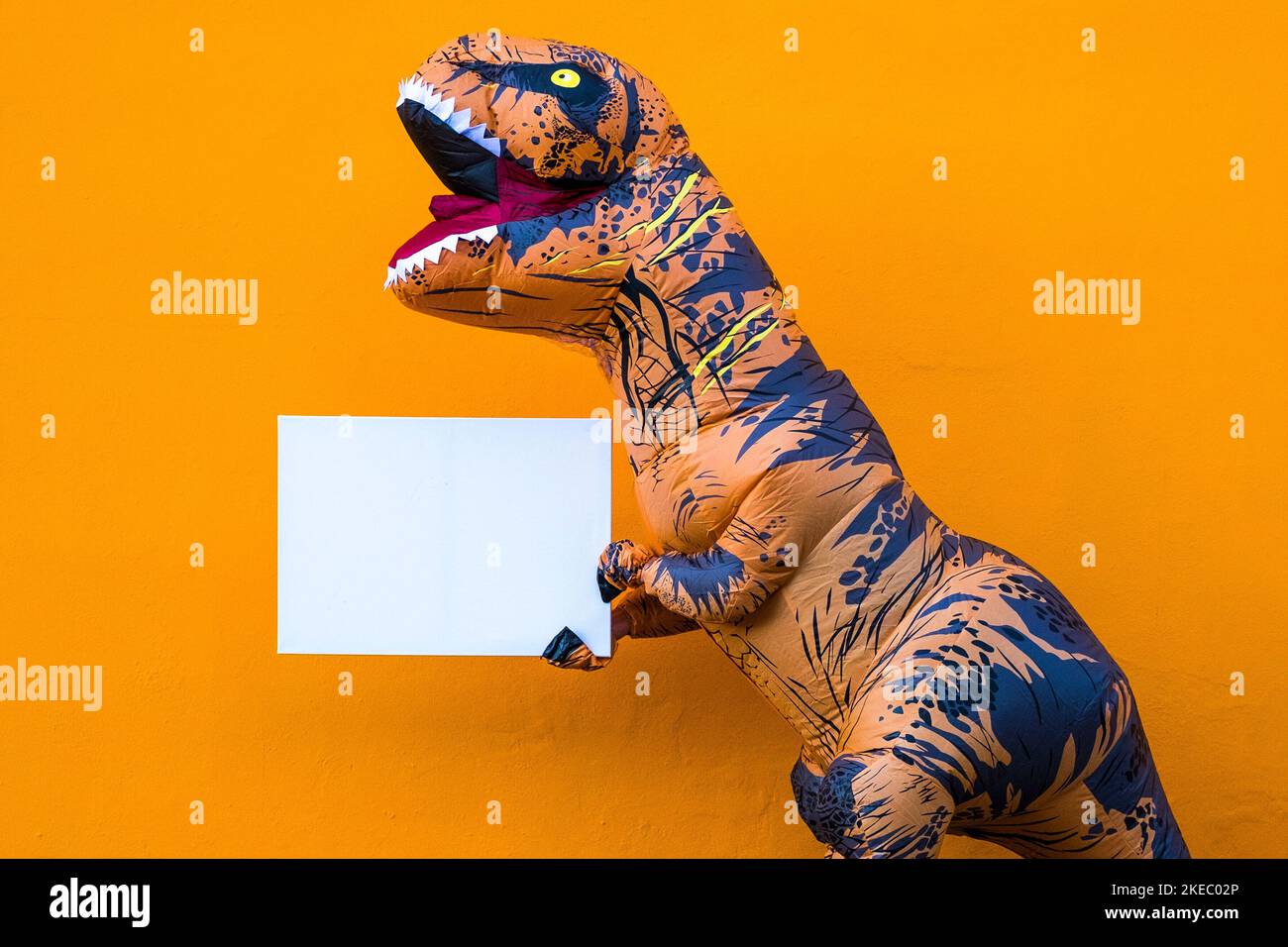 close up and portrait of a t-rex holding a white paper to write your ...