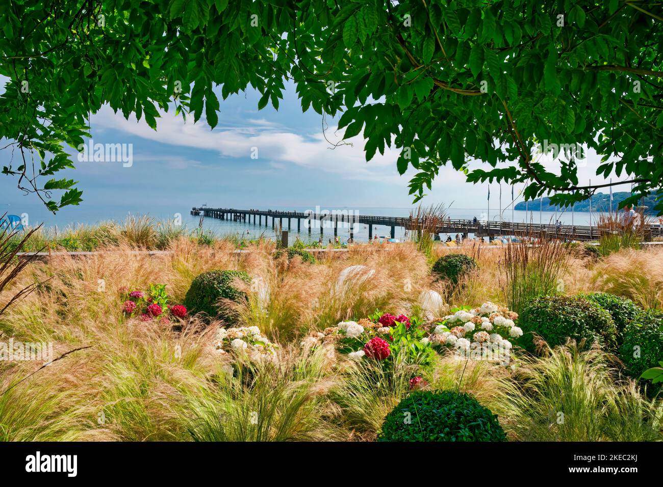 The pier in Binz, Rügen, Mecklenburg-Vorpommern, Germany, Europe Stock ...