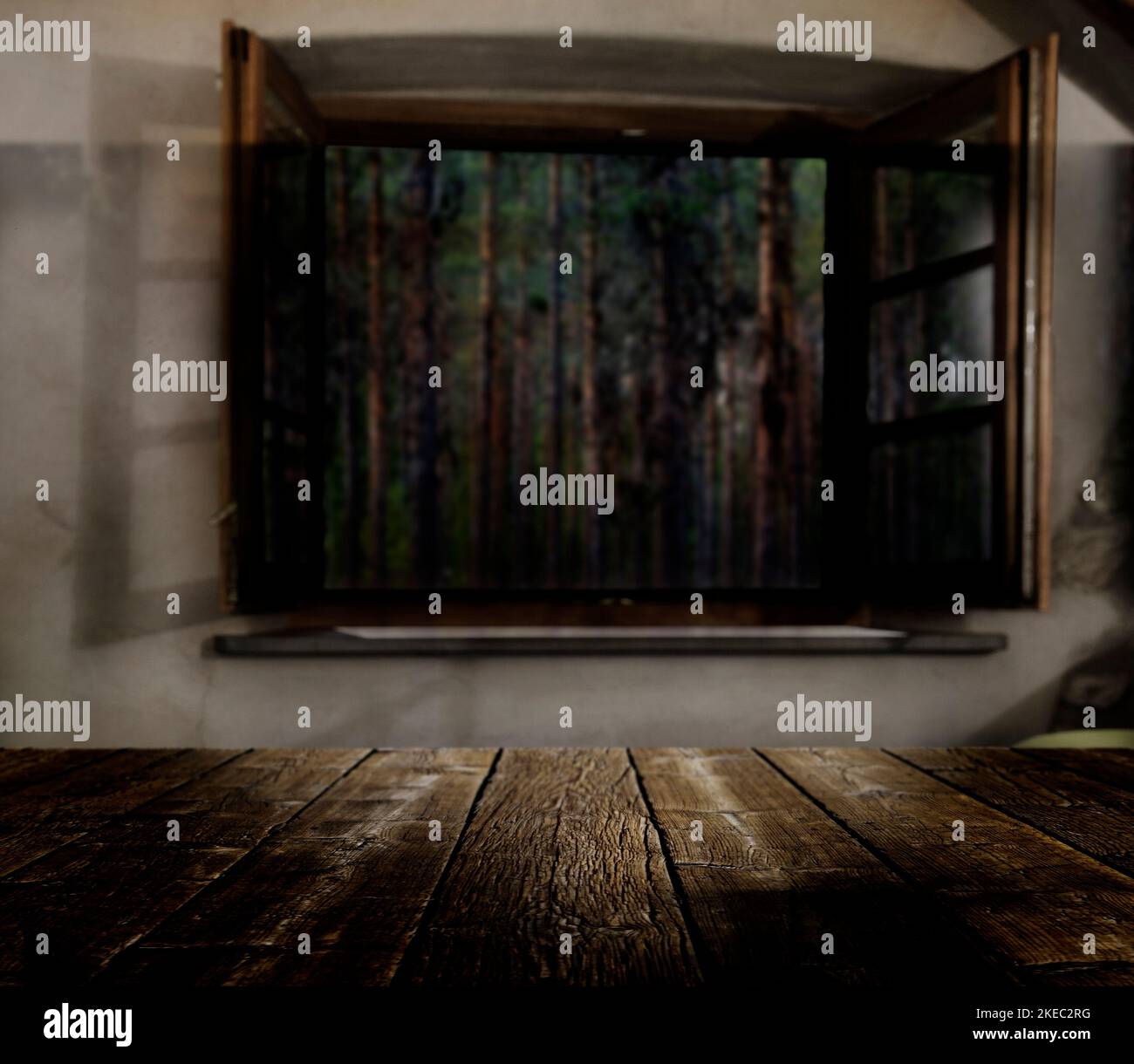 Interior view of pine forest hi-res stock photography and images - Alamy