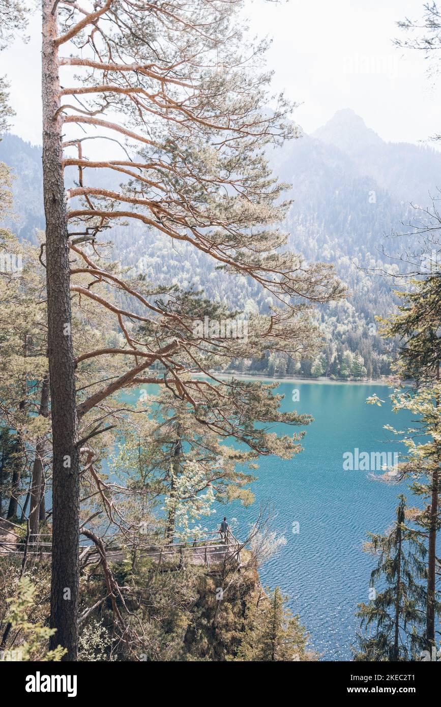 Germany, Bavaria, Alpsee near Füssen, man on observation platform Stock ...