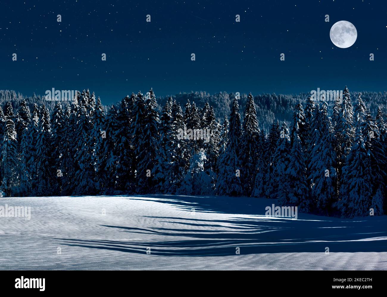 Snowy moonlight trees hi-res stock photography and images - Alamy