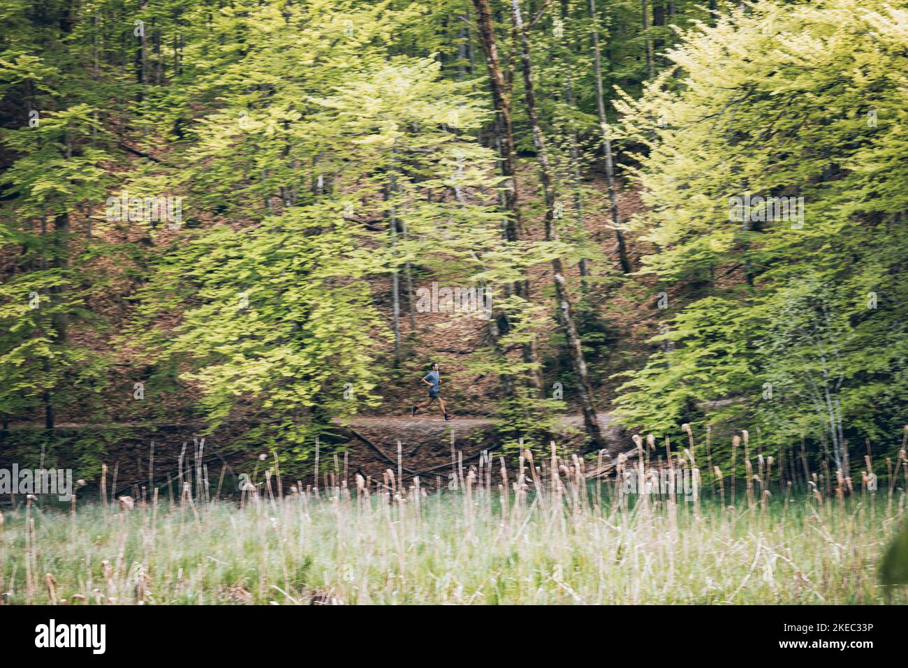 Man running in forest Stock Photo - Alamy