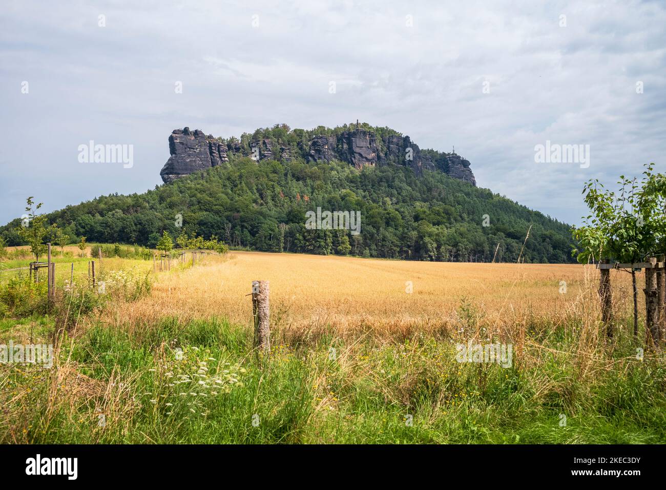 The Pfaffenstein in the nature reserve Pfaffenstein in Saxony during ...