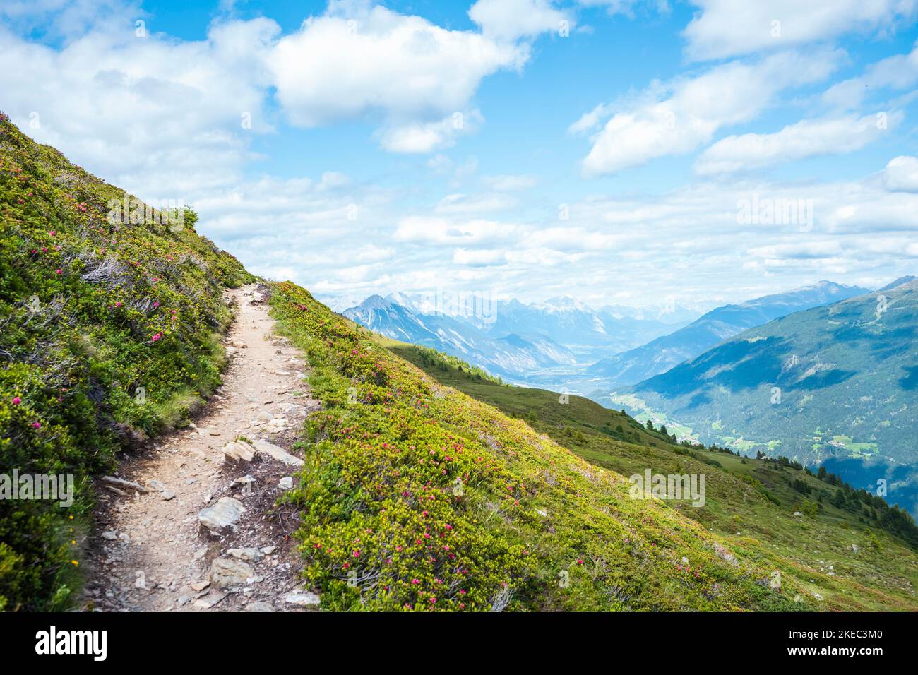 Stones summer trail hi-res stock photography and images - Alamy