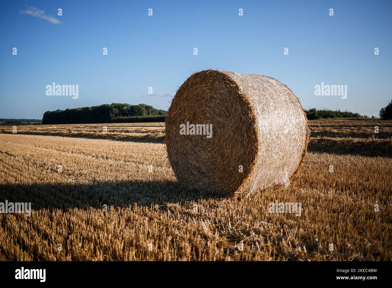 Couple roll in hay hi-res stock photography and images - Alamy