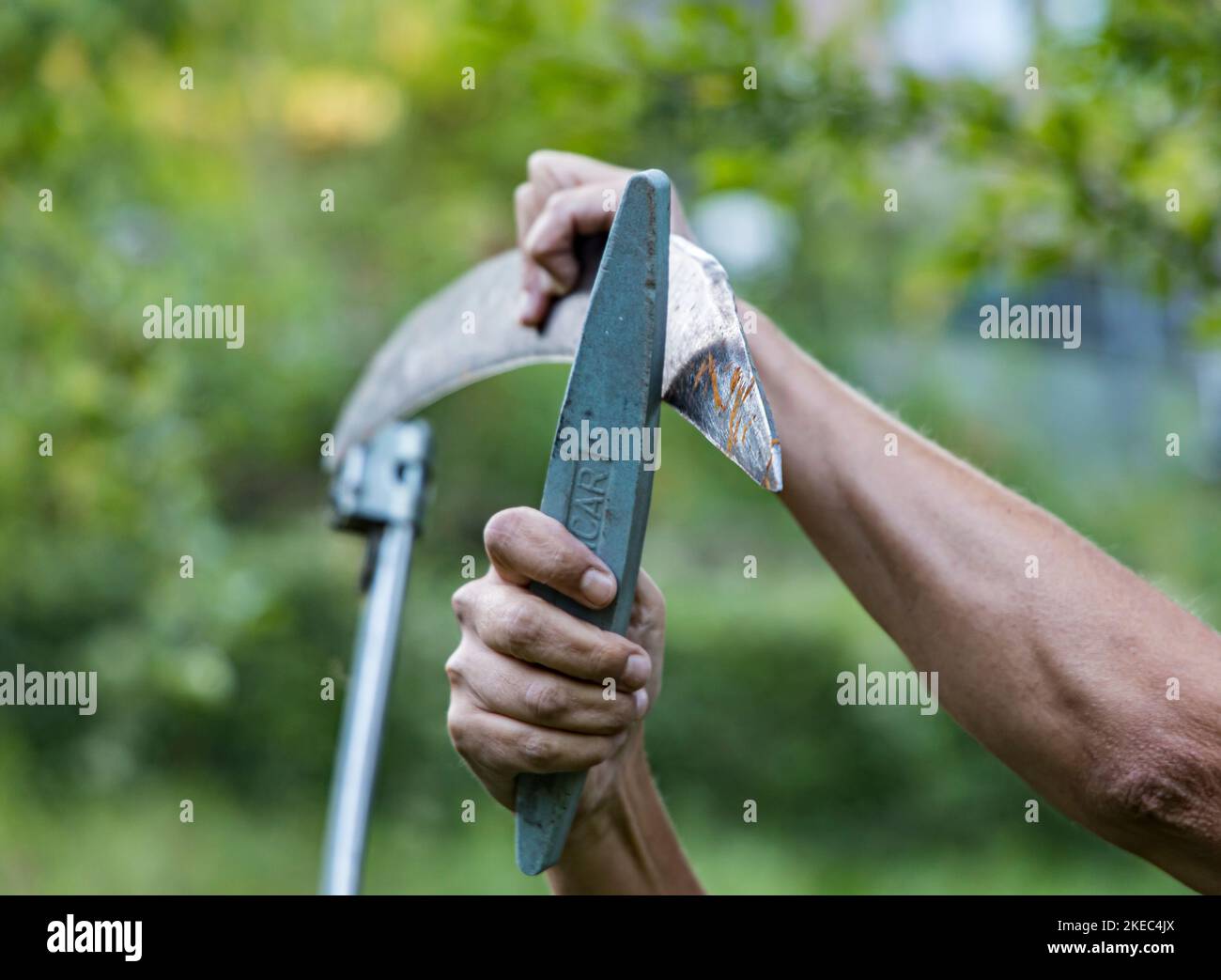 Woman cutting grass with scythe by hand, in garden, sharpening scythe ...