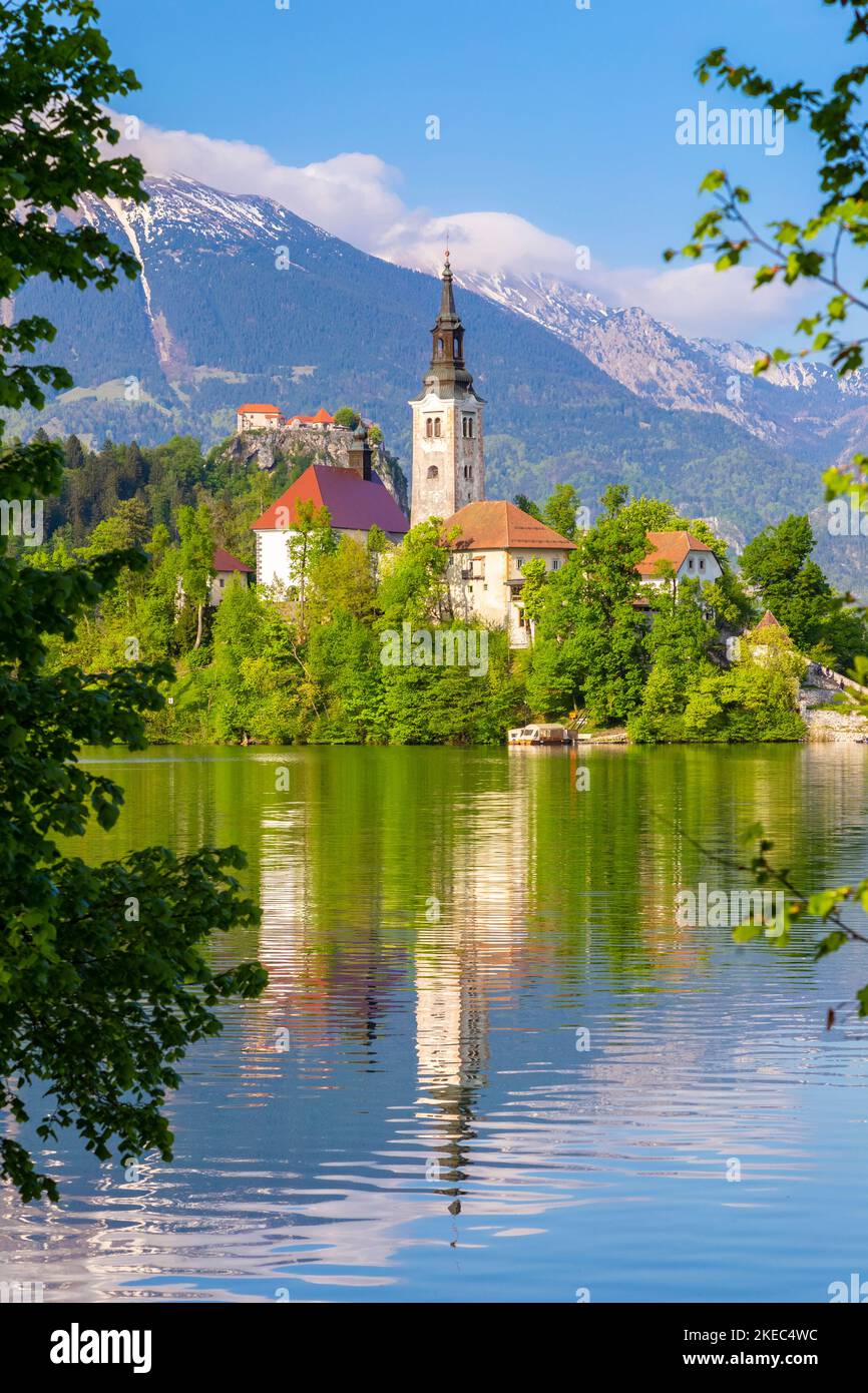 View of lake Bled at in spring with the small island and Assumption of ...