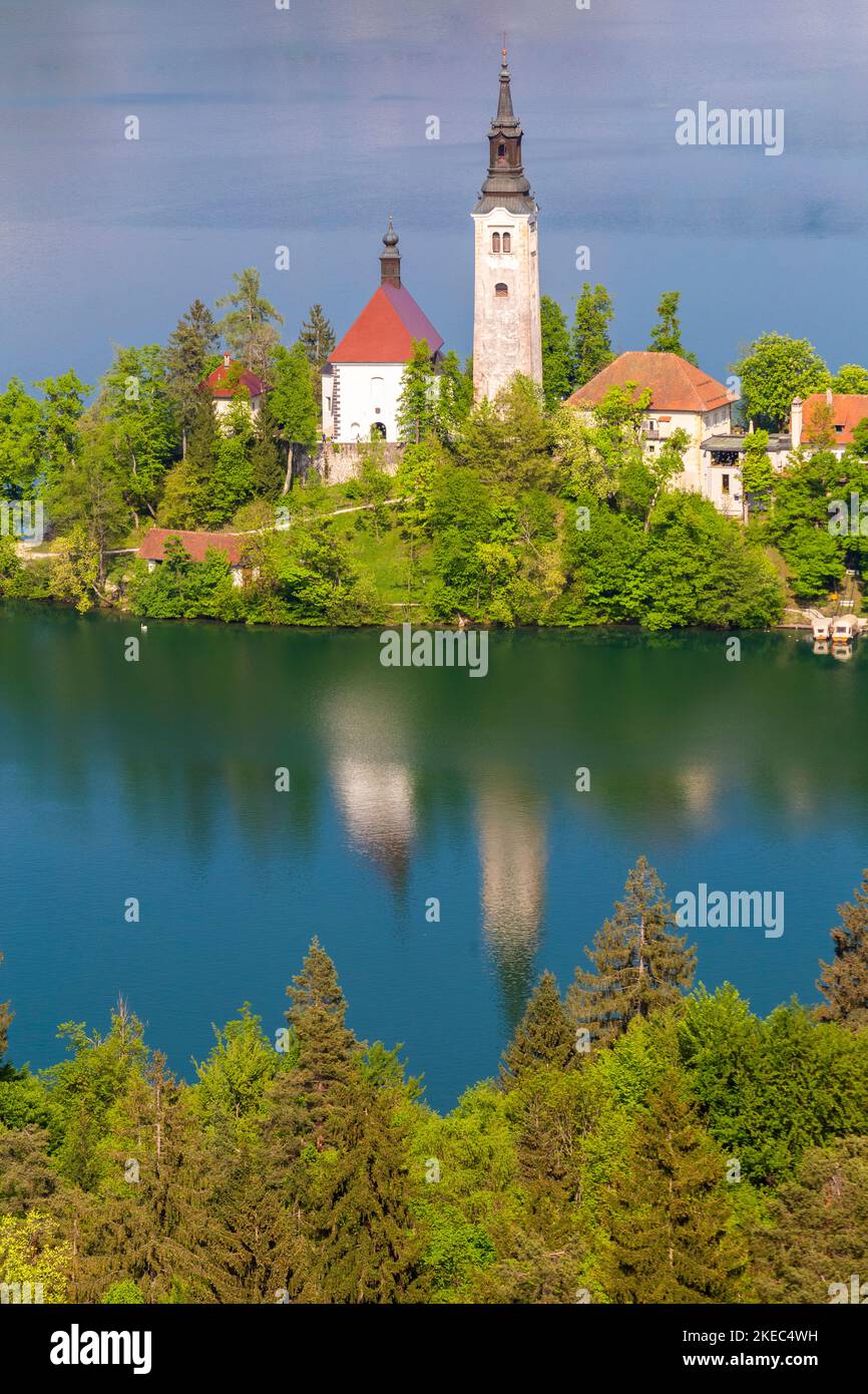 View of lake Bled at in spring with the small island and Assumption of ...