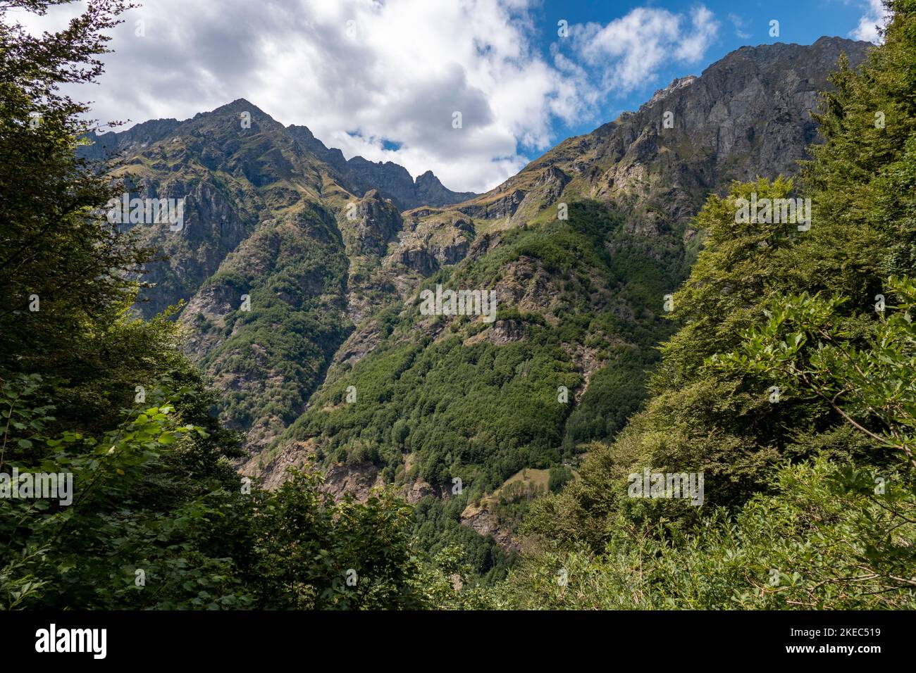 A mountain with greenery and blue cloudy sky on a sunny day Stock Photo ...