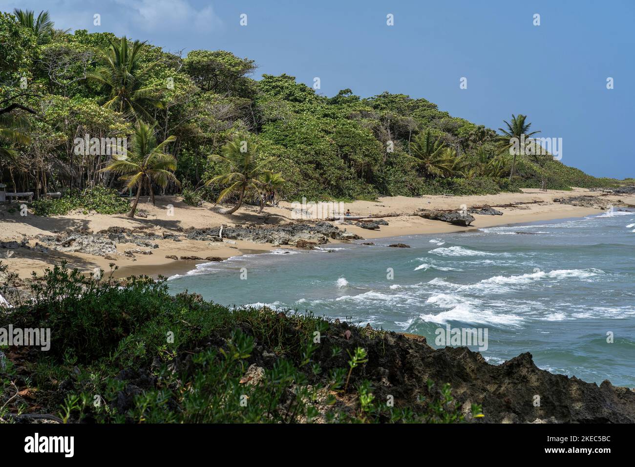 Playa perla marina hi-res stock photography and images - Alamy
