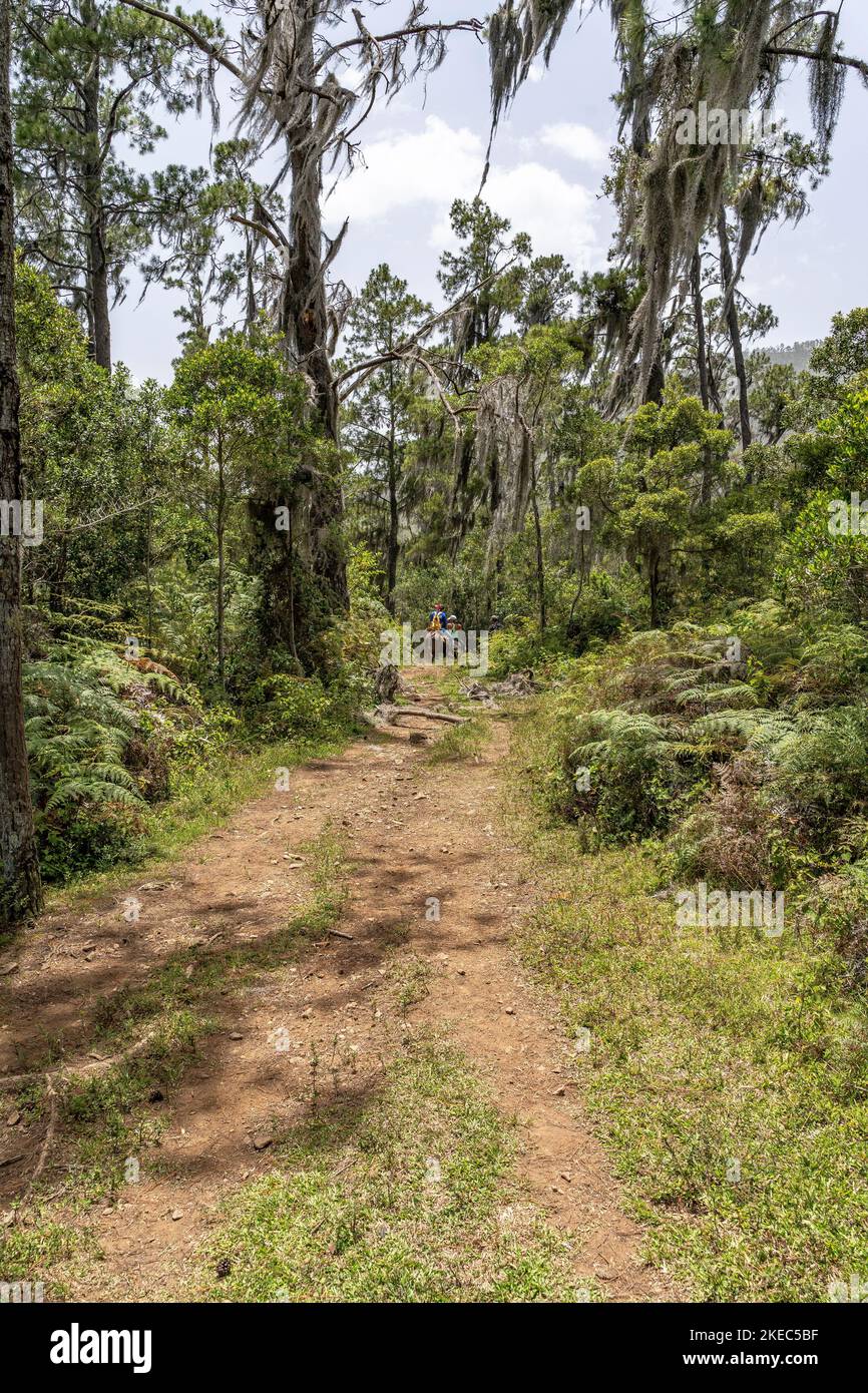 North America, Caribbean, Greater Antilles, Hispaniola Island ...