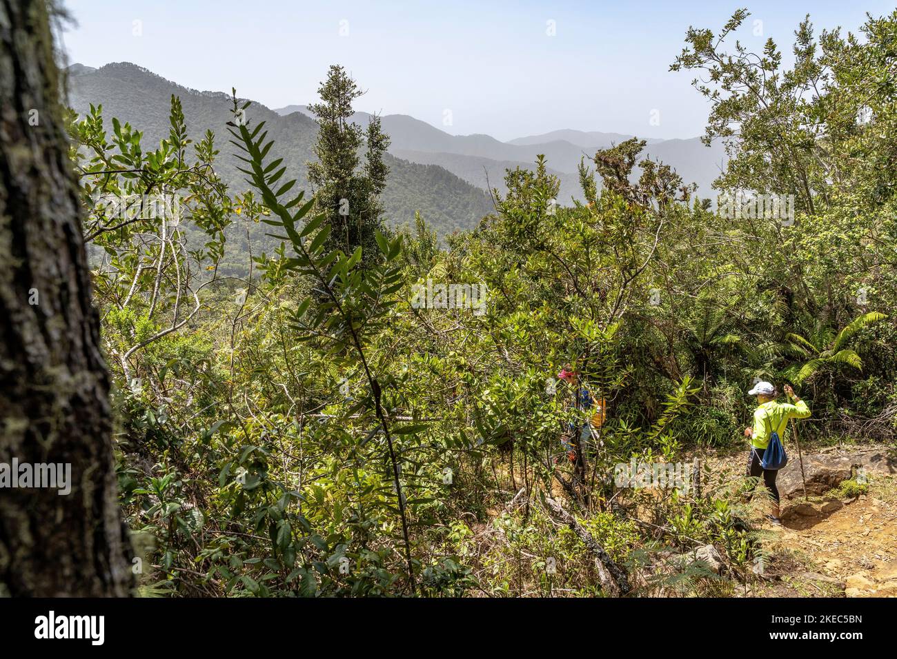 North America, Caribbean, Greater Antilles, Hispaniola Island ...