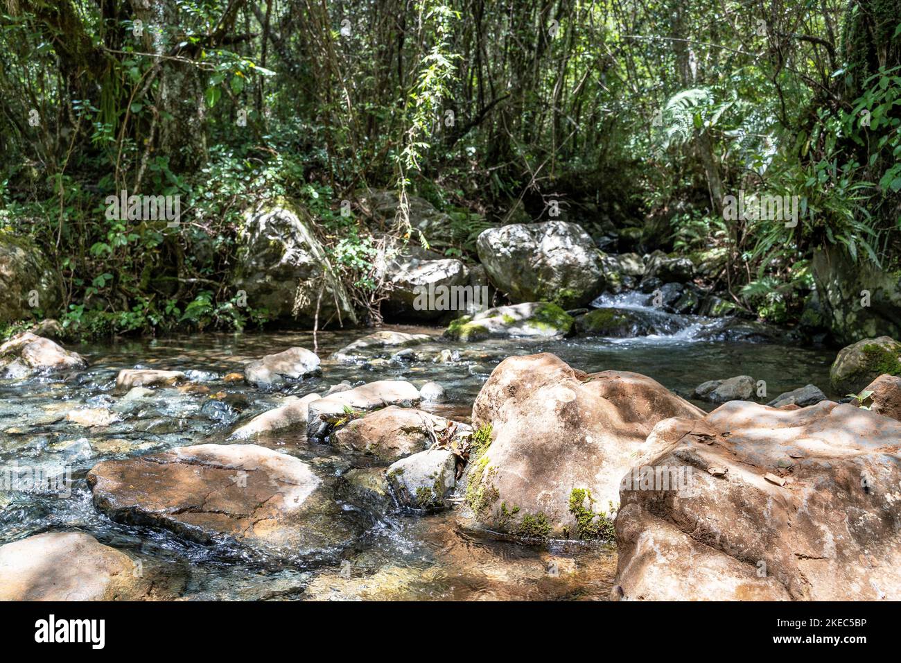 North America, Caribbean, Greater Antilles, Hispaniola Island ...
