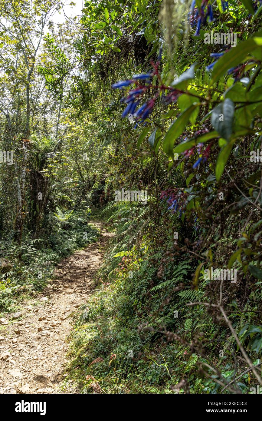 North America, Caribbean, Greater Antilles, Hispaniola Island ...