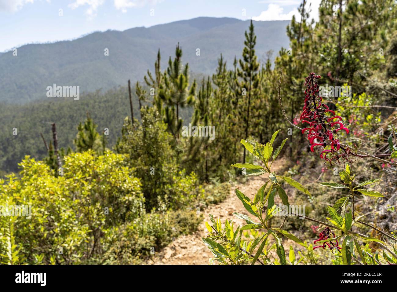 North America, Caribbean, Greater Antilles, Hispaniola Island ...