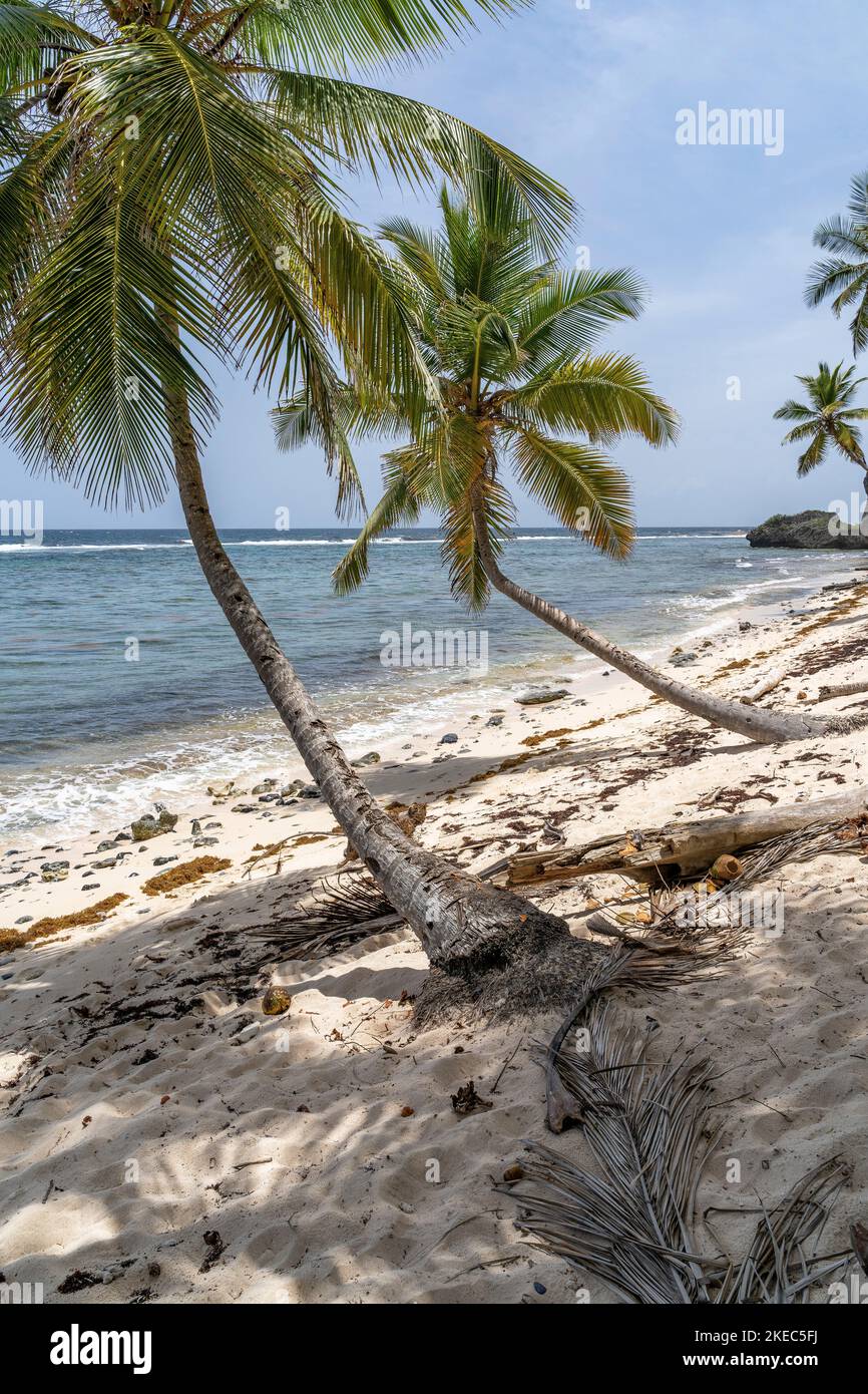 North America, Caribbean, Greater Antilles, Hispaniola Island ...