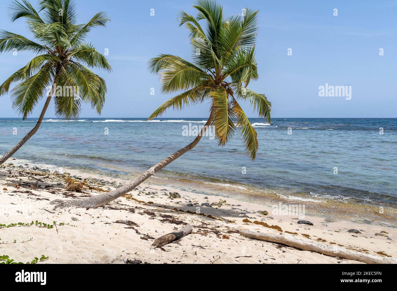 North America, Caribbean, Greater Antilles, Hispaniola Island ...