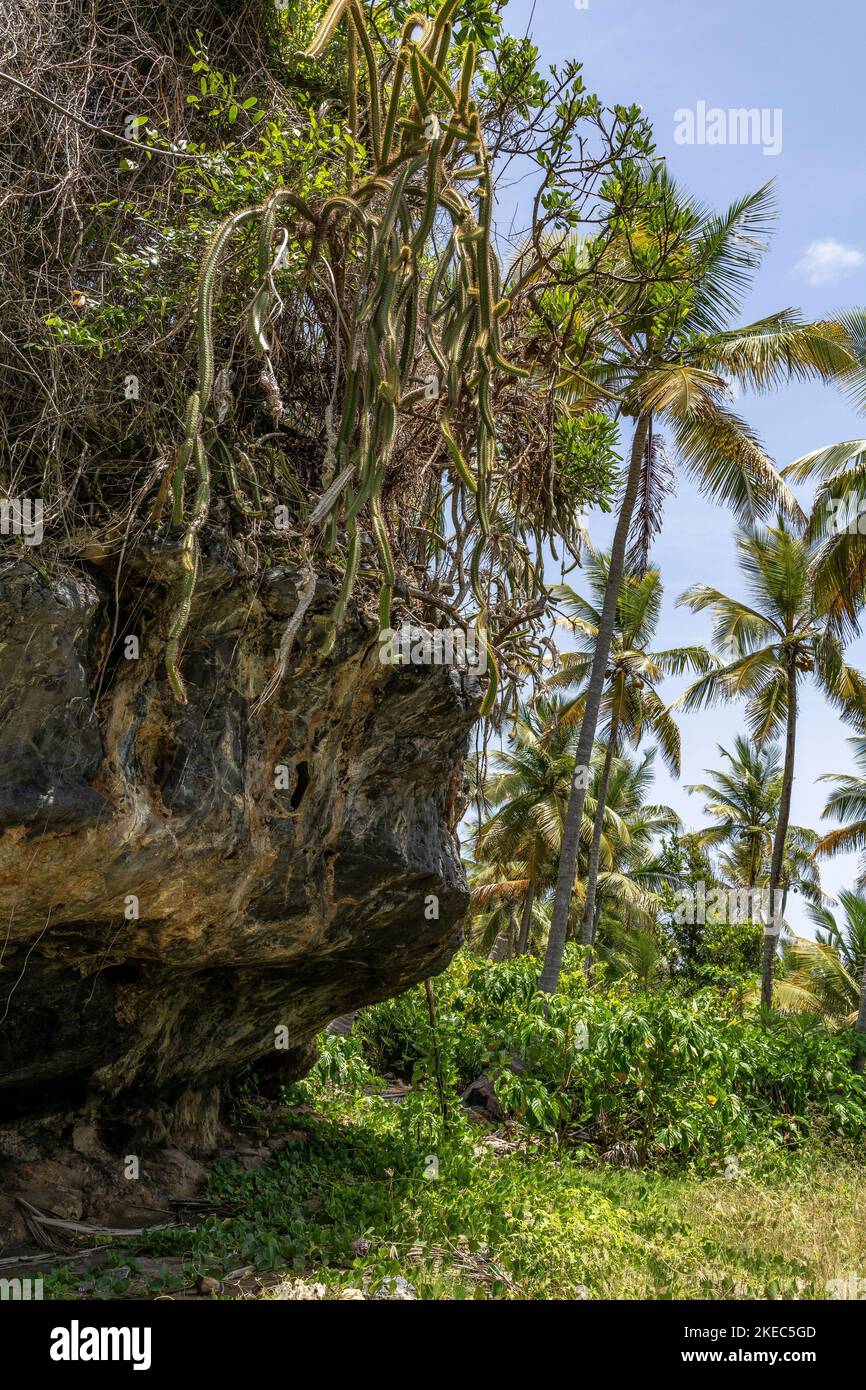 North America, Caribbean, Greater Antilles, Hispaniola Island ...