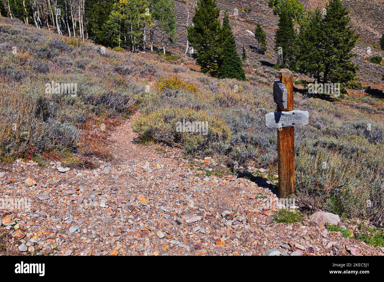 Hiking Trail Sign Deseret Peak Trail Stansbury Mountains, Rocky ...