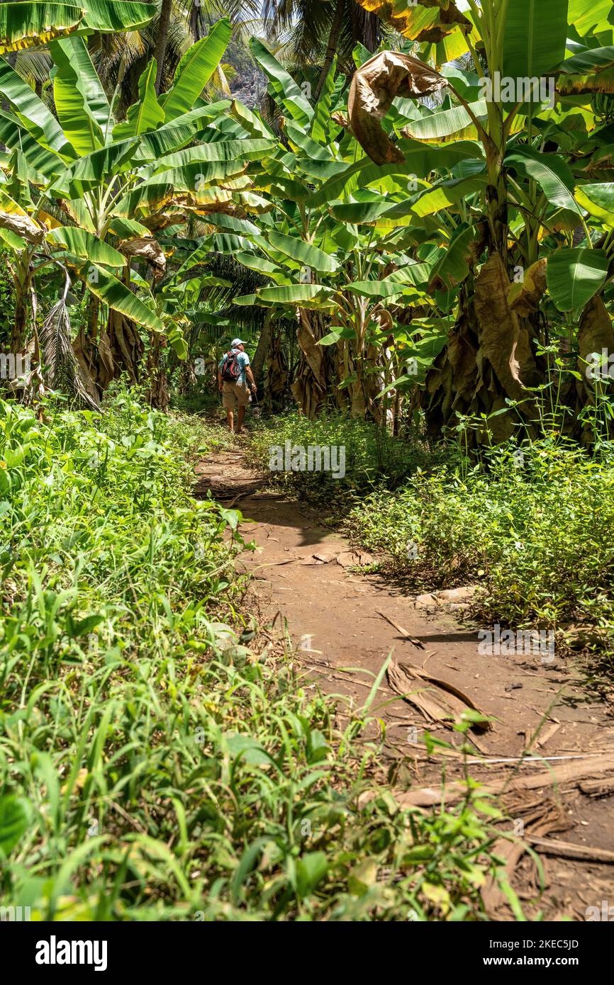 North America, Caribbean, Greater Antilles, Hispaniola Island ...