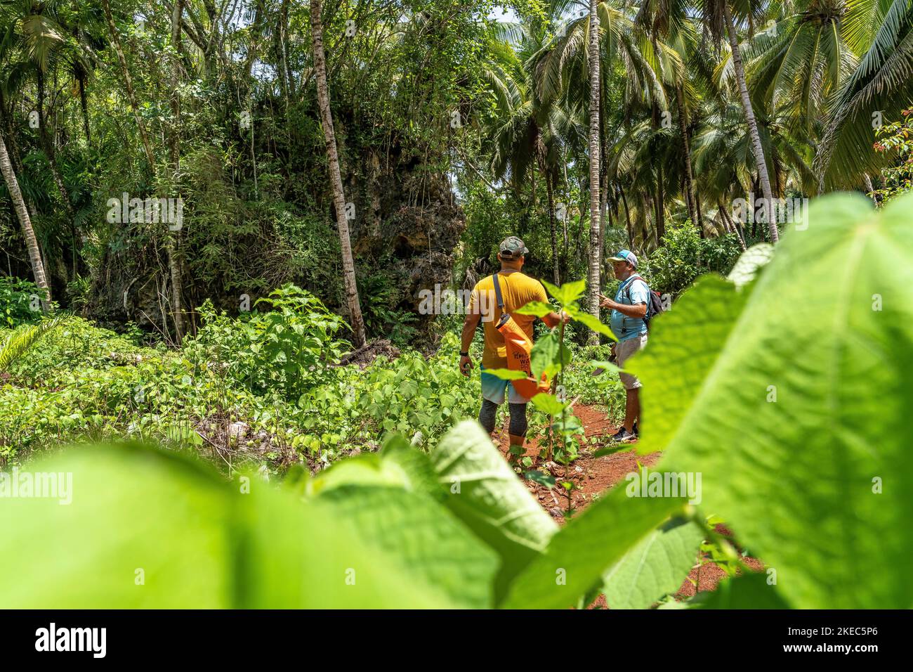 North America, Caribbean, Greater Antilles, Hispaniola Island ...