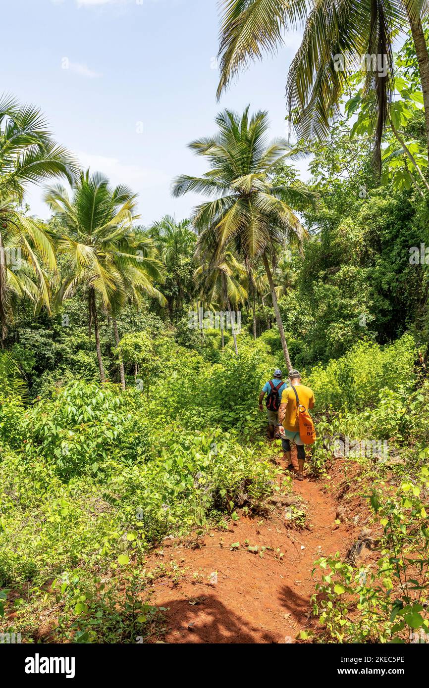 Tropical rainforest guide and scenic hiking hi-res stock photography ...