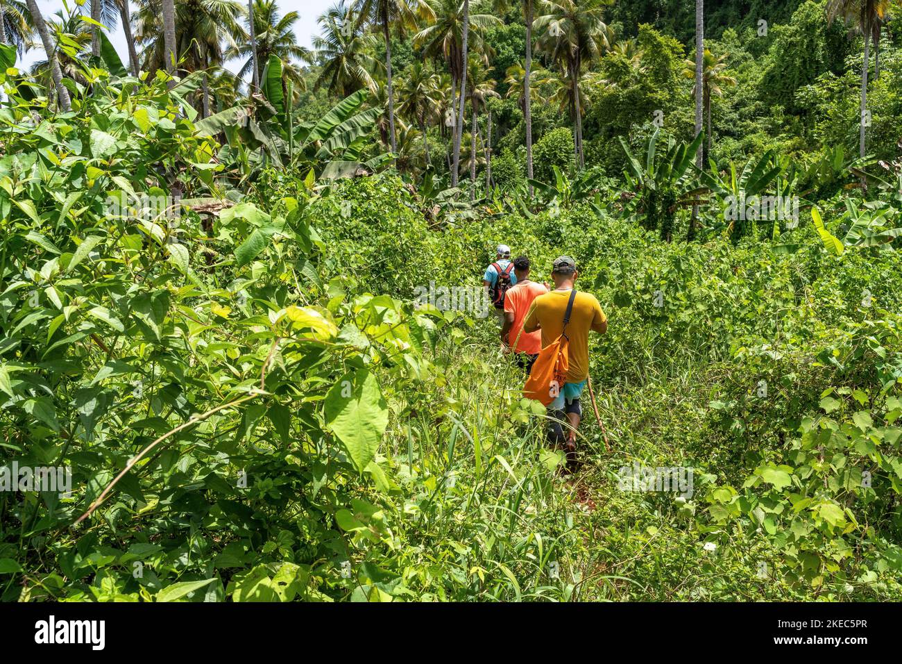 North America, Caribbean, Greater Antilles, Hispaniola Island ...