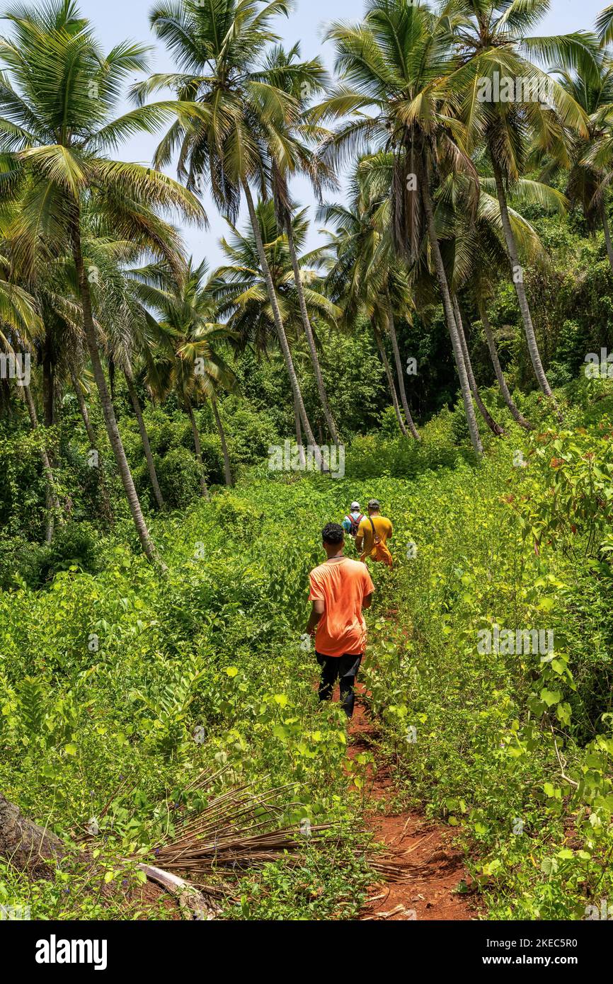 North America, Caribbean, Greater Antilles, Hispaniola Island ...