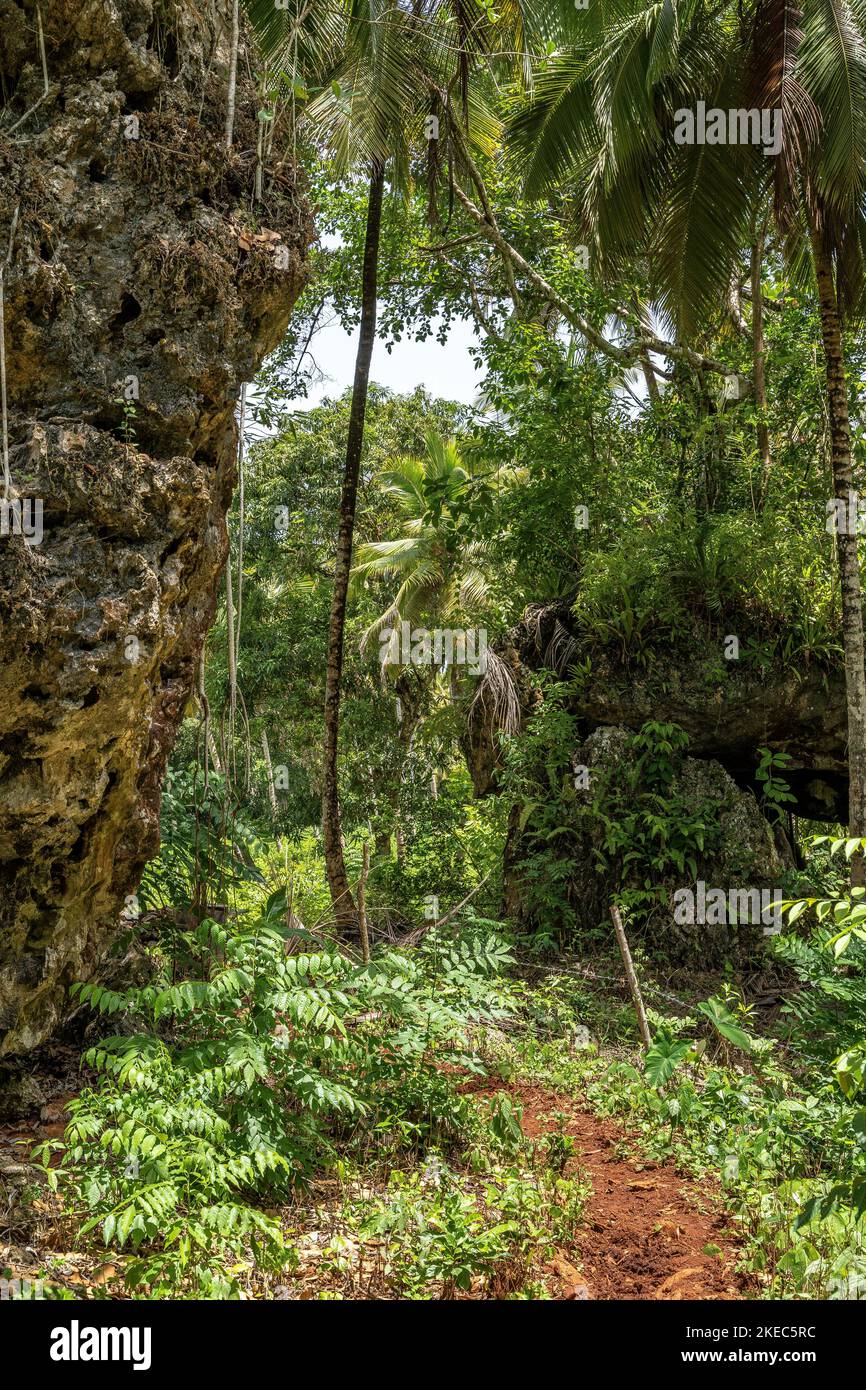 North America, Caribbean, Greater Antilles, Hispaniola Island ...