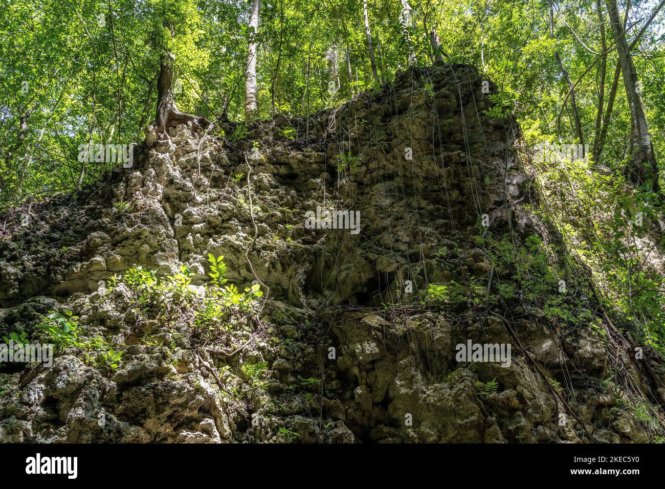 North America, Caribbean, Greater Antilles, Hispaniola Island ...
