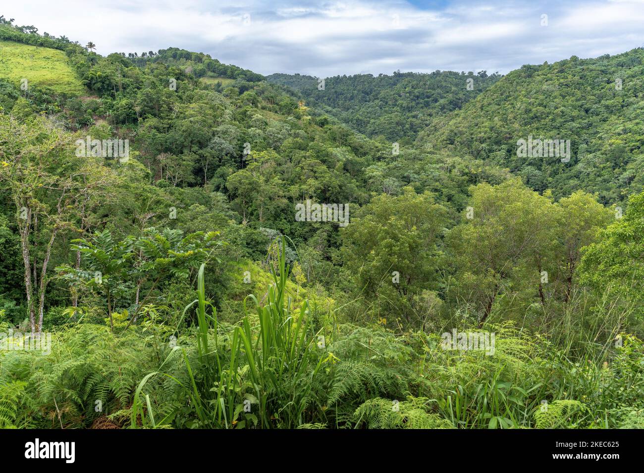 North America, Caribbean, Greater Antilles, Hispaniola Island ...