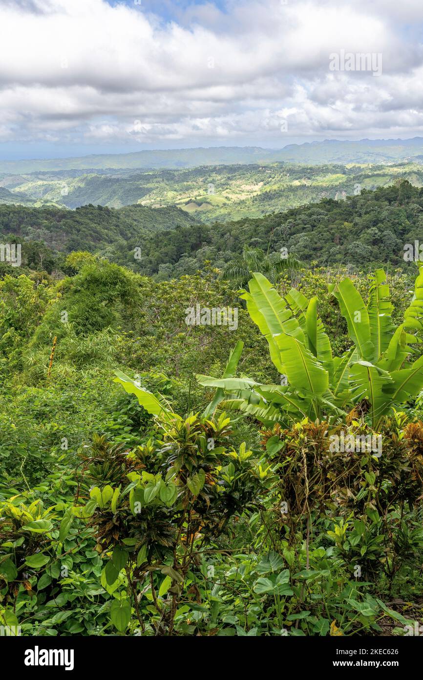North America, Caribbean, Greater Antilles, Hispaniola Island ...