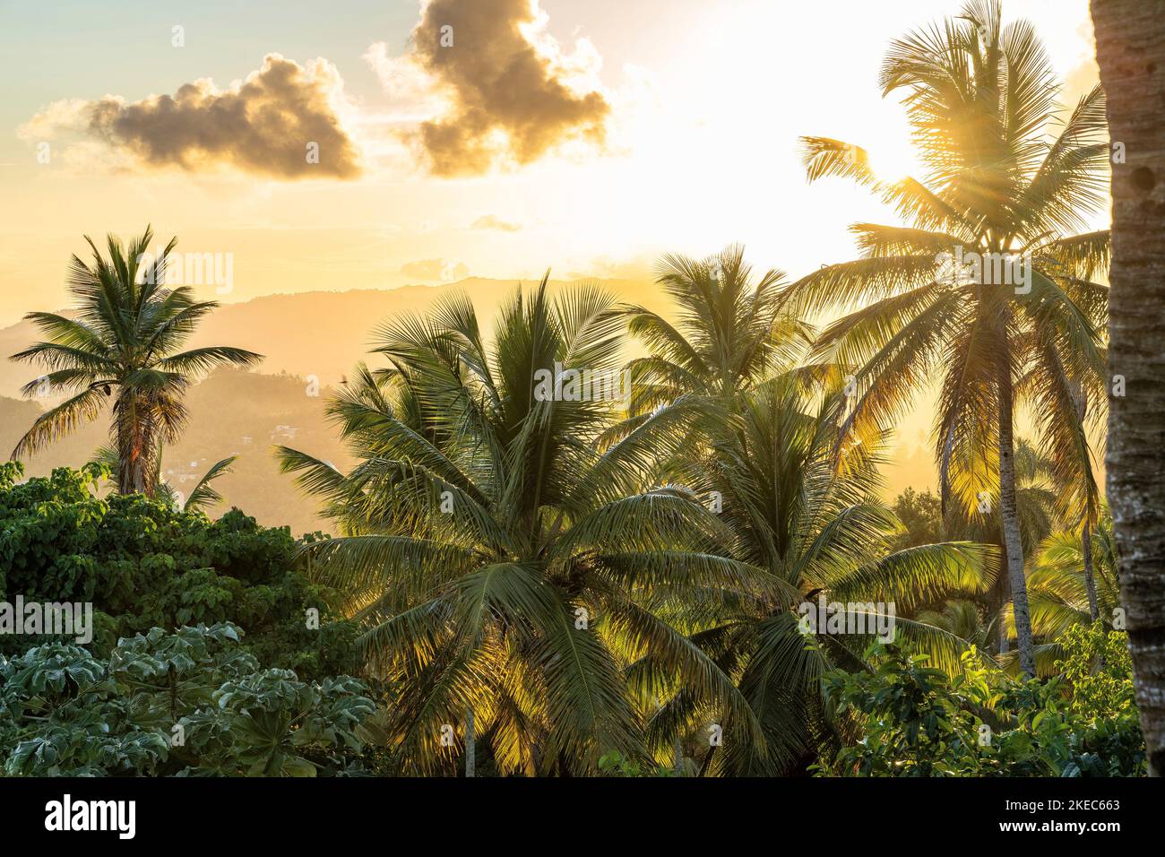 North America, Caribbean, Greater Antilles, Hispaniola Island ...