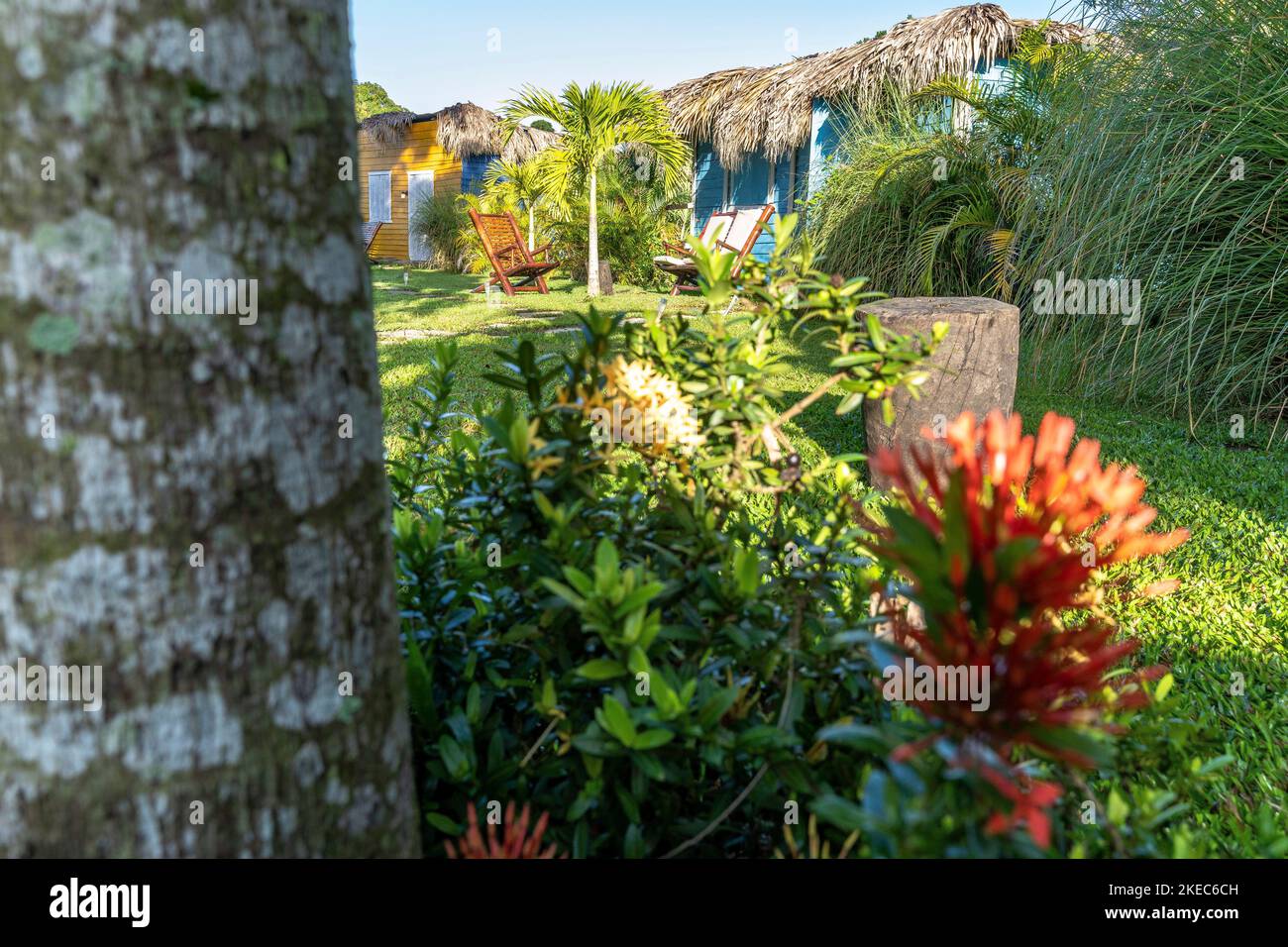 Eco friendly house caribbean hi-res stock photography and images - Alamy