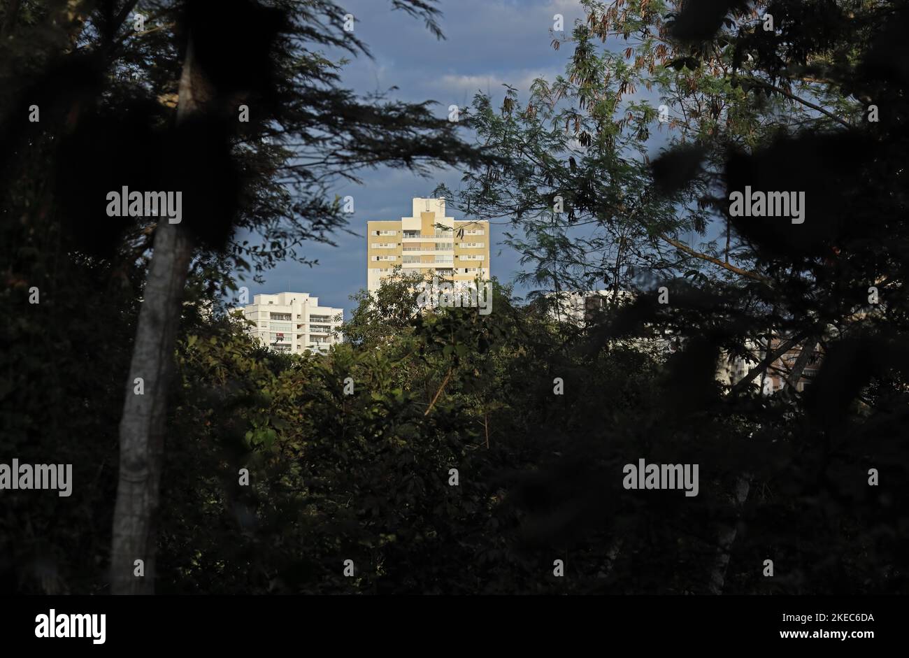 Inside tower block hi-res stock photography and images - Alamy