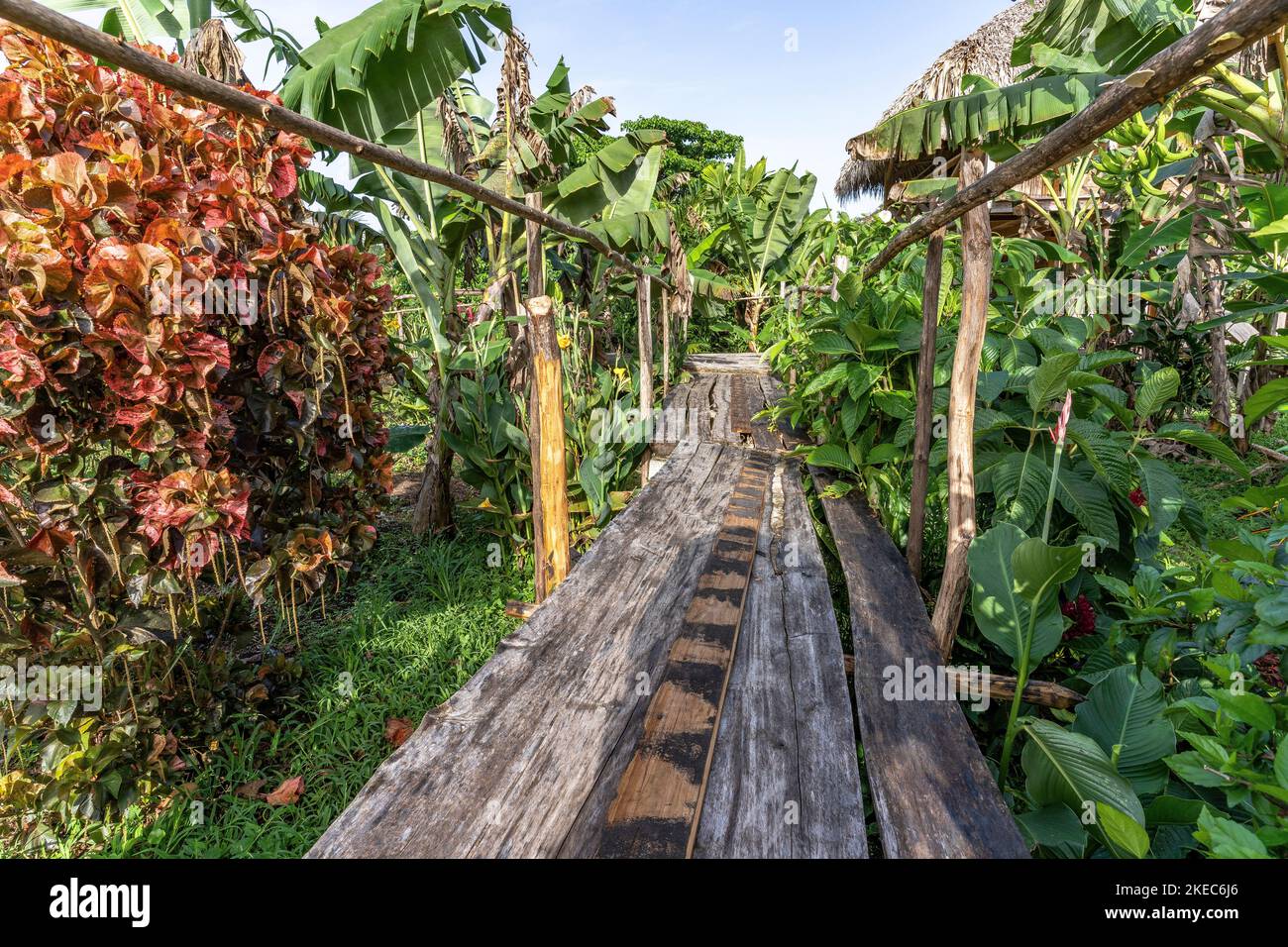 Samana eco lodge hi-res stock photography and images - Alamy
