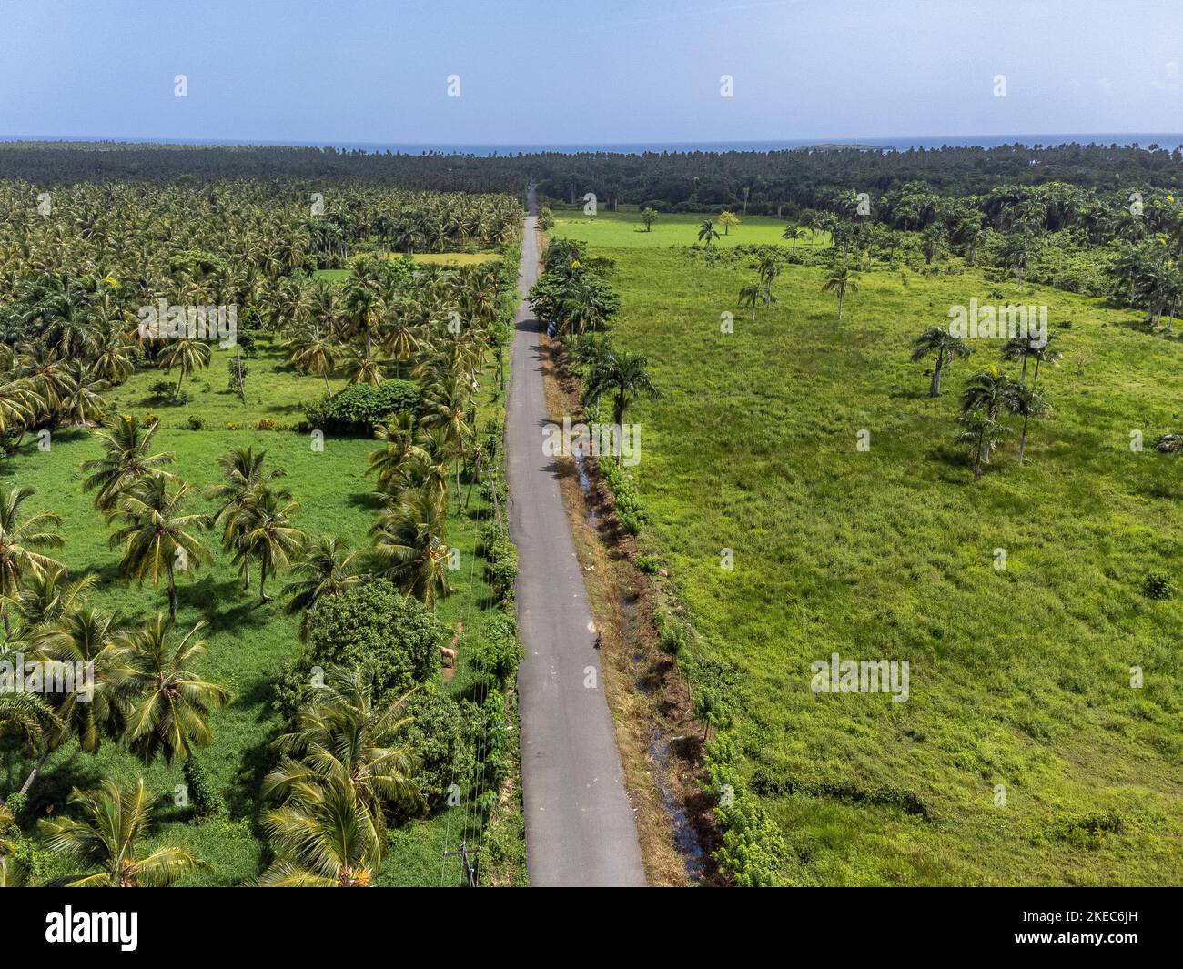 North America, Caribbean, Greater Antilles, Hispaniola Island ...