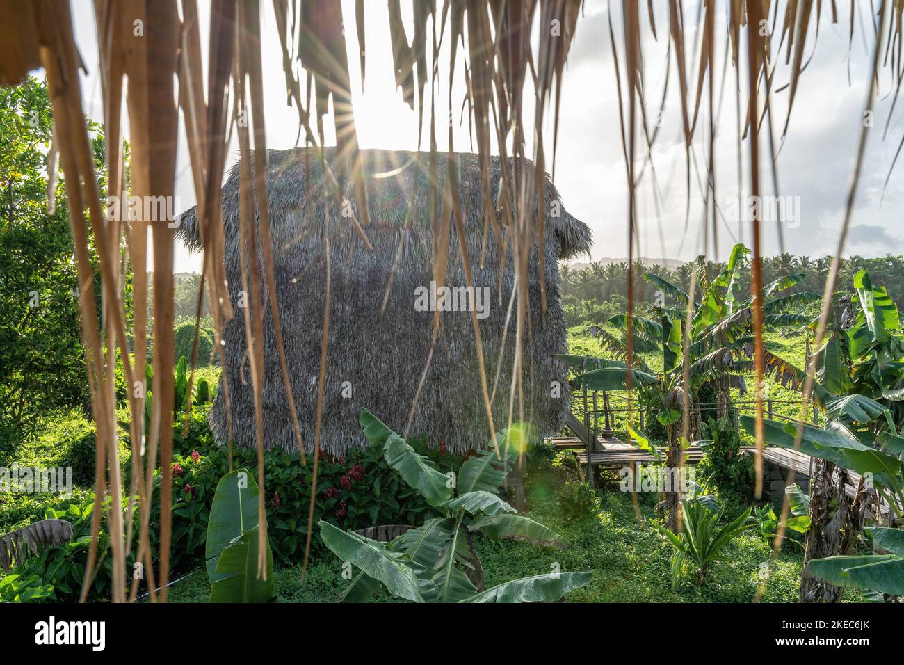 North America, Caribbean, Greater Antilles, Hispaniola Island ...