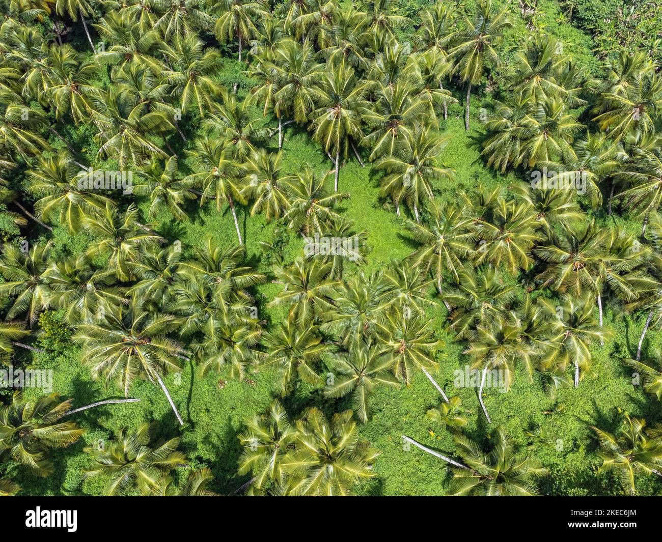 North America, Caribbean, Greater Antilles, Hispaniola Island ...