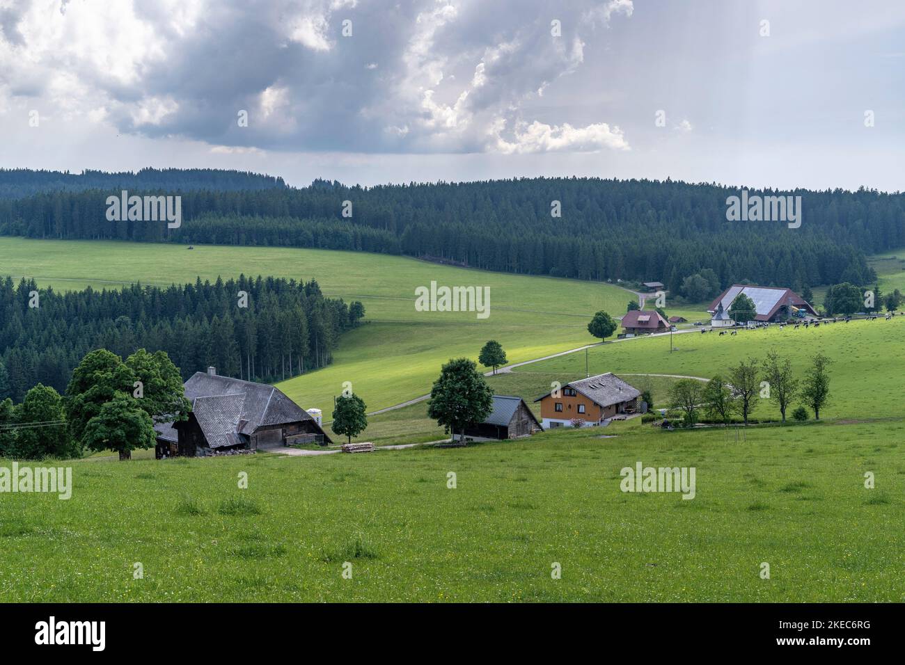 Europe, Germany, Southern Germany, Baden-Württemberg, Black Forest ...
