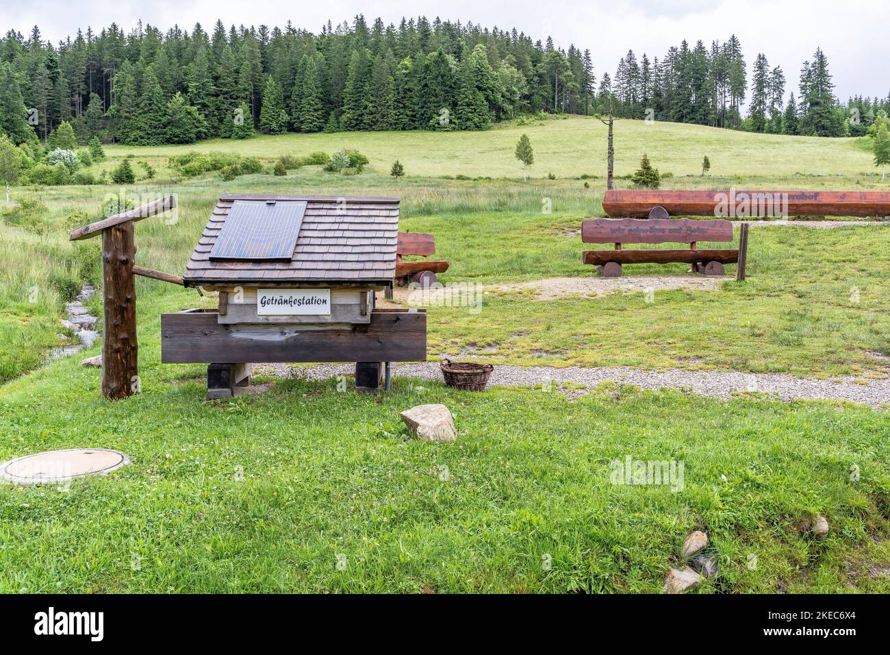 Europe, Germany, Southern Germany, Baden-Wuerttemberg, Black Forest ...